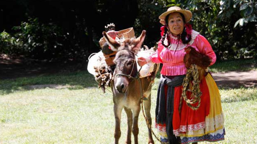 “La India María” su influencia en la comedia hispana – Telemundo ...