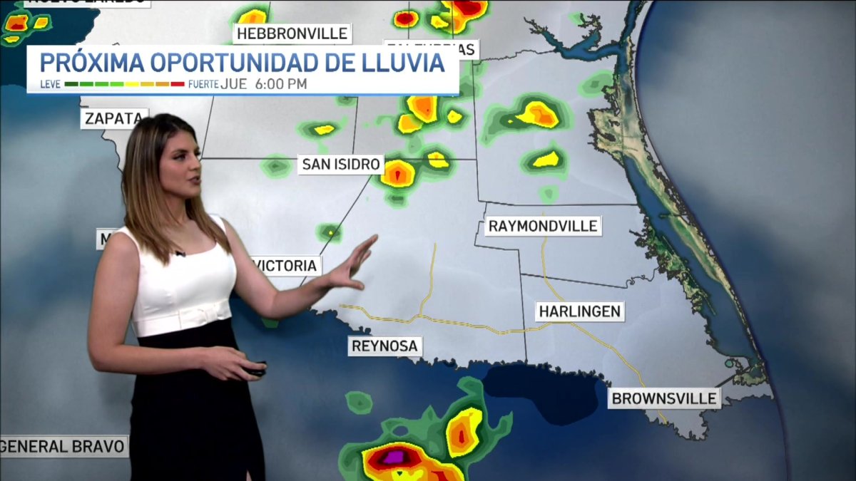 Miércoles con temperaturas cálidas – Telemundo McAllen (40)