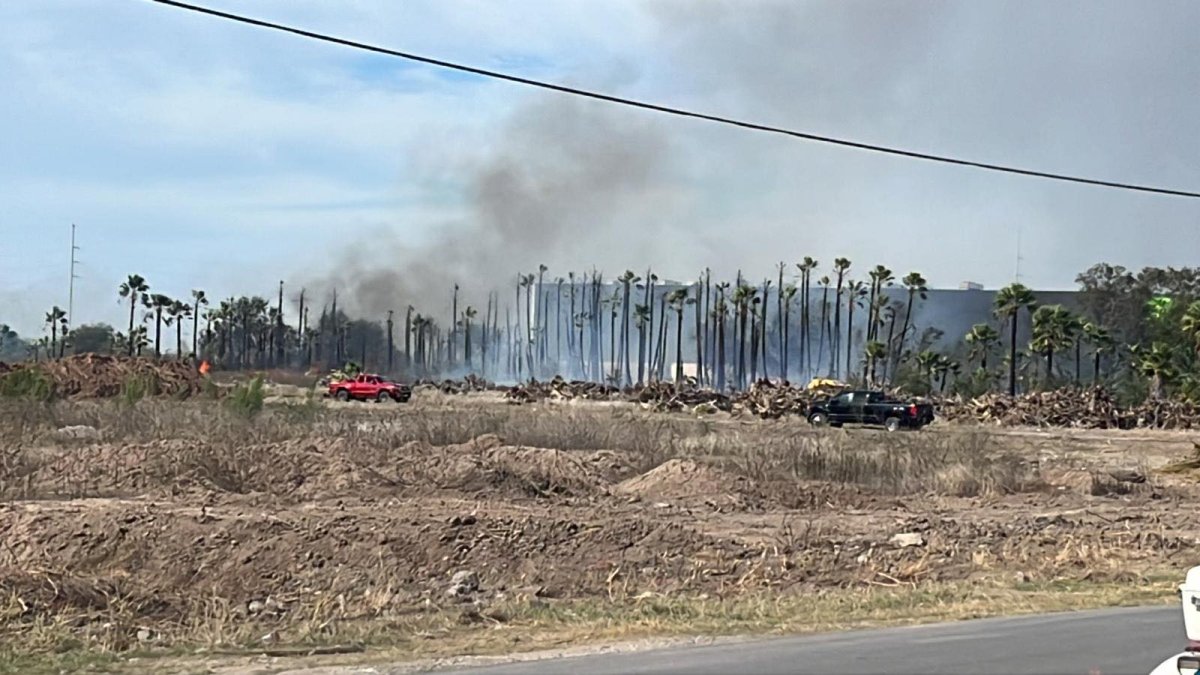 Se reporta incendio al sur de la ciudad de McAllen – Telemundo McAllen (40)
