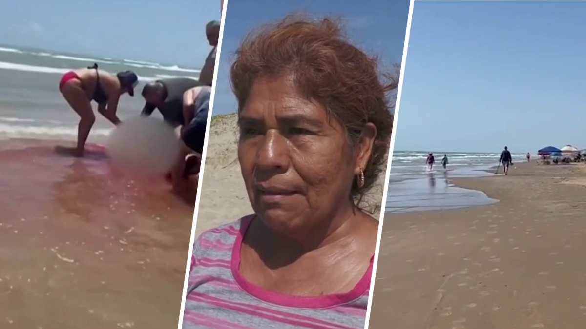 Tiburón Muerde A Dos Persona En La Isla Del Padre Sur Telemundo Mcallen 40