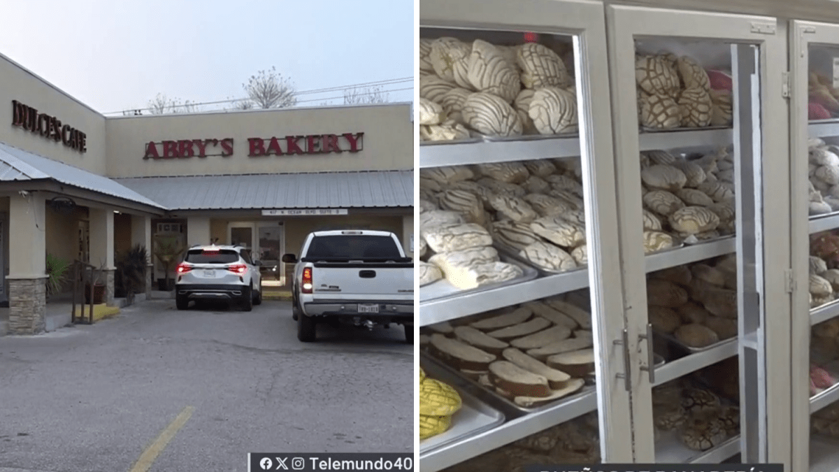 Dueños de Abby’s Bakery se declaran no culpable – Telemundo McAllen (40)