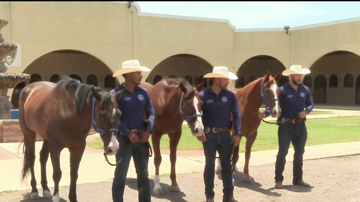 Policía montada de Pharr se suma a labores de rescate – Telemundo ...