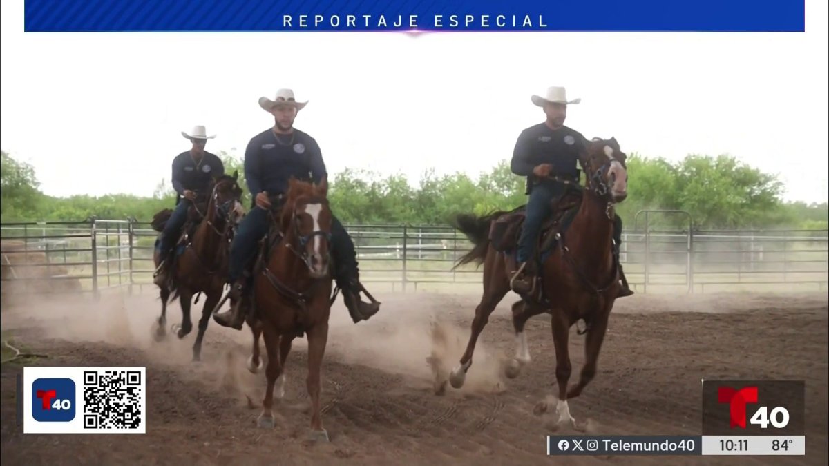 La policia de Pharr patrulla a caballo – Telemundo McAllen (40)