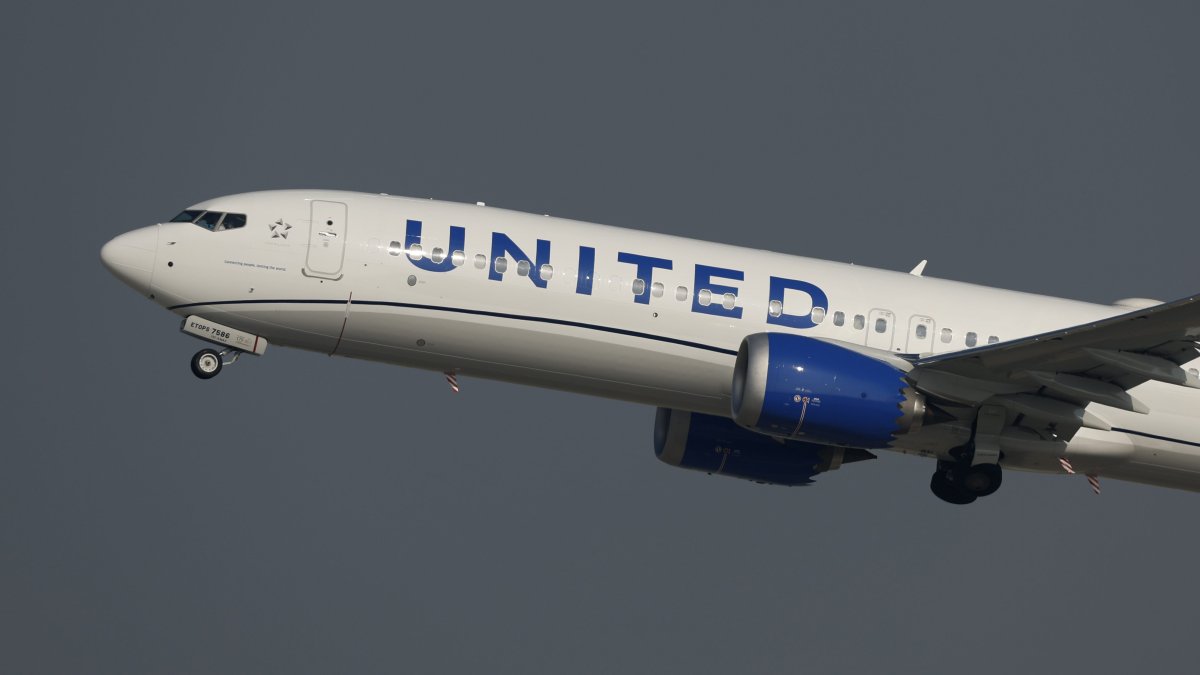 Detenido por colarse en un vuelo de United Airlines en Texas ...